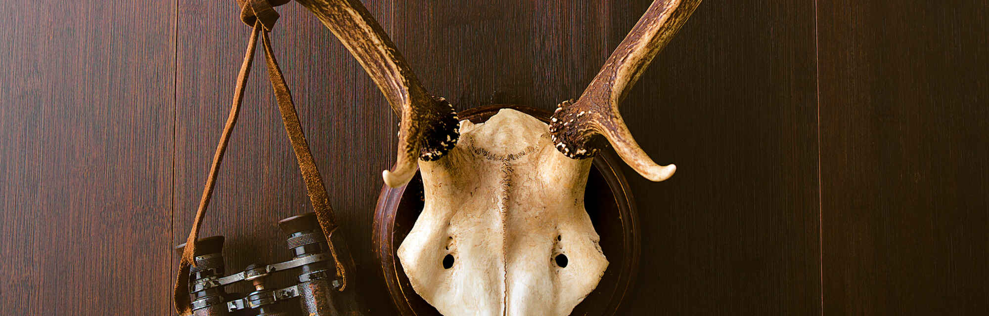 Was ist Wild? | Küchengötter