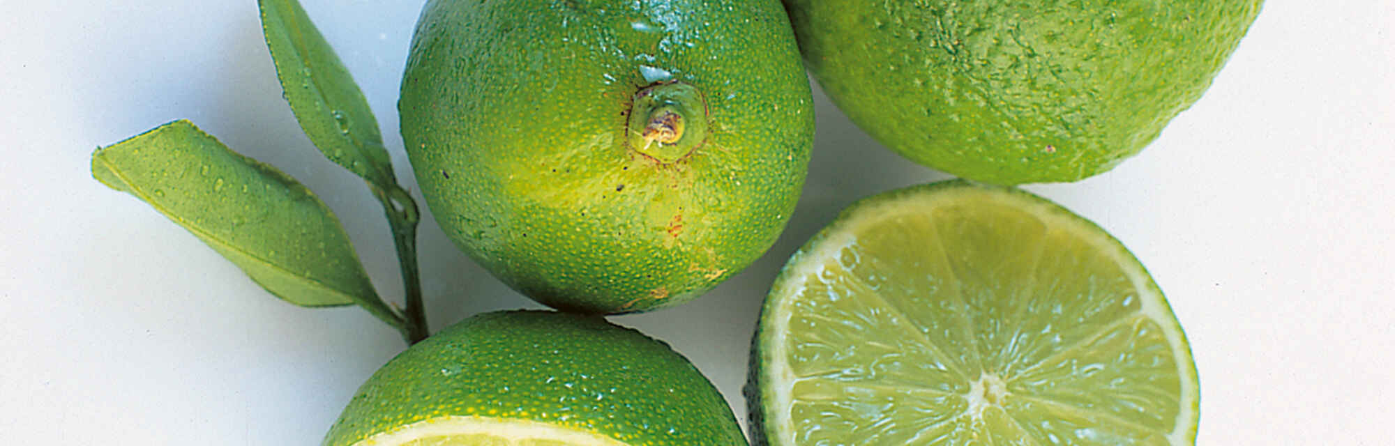 Limetten | Lebensmittel-Warenkunde | Küchengötter