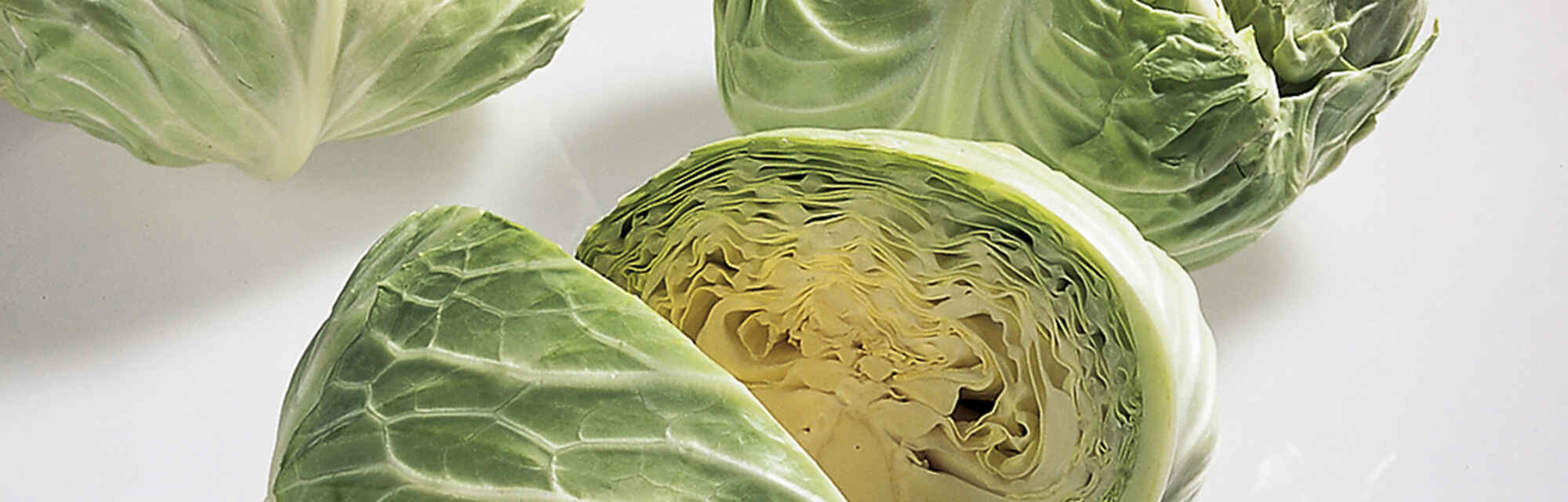 Weißkohl | Küchengötter