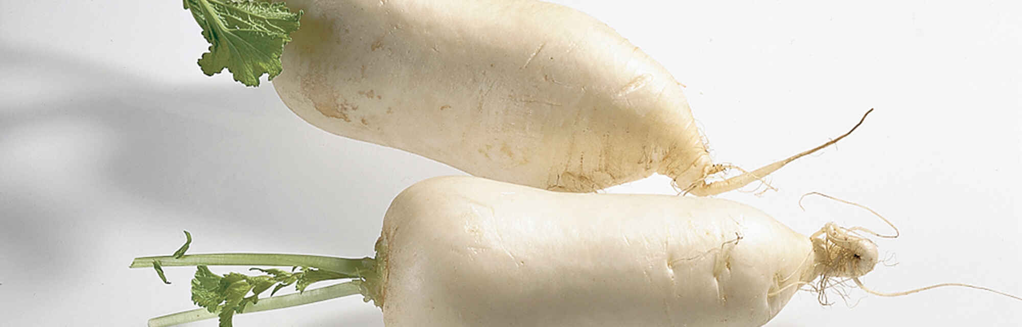 Rettich: Das solltest du über die scharfe Wurzel wissen | Küchengötter