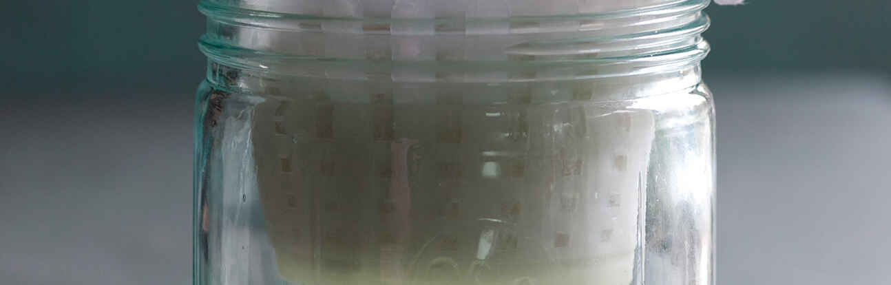 Molke | Küchengötter