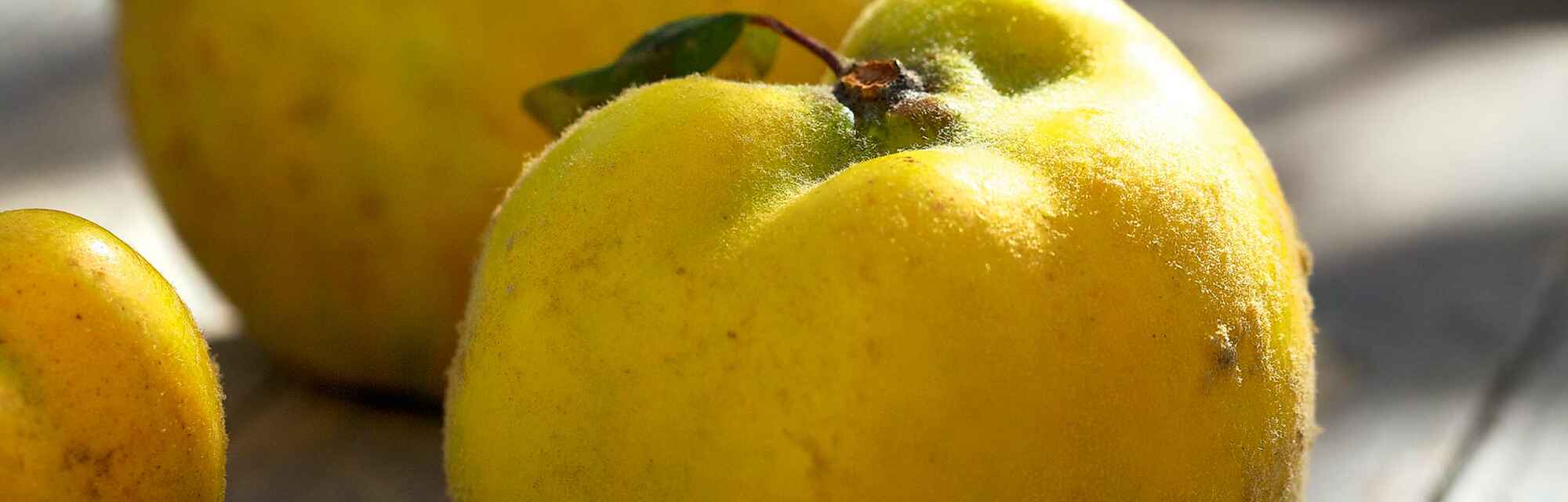 Saisonkalender September für Obst und Gemüse | Küchengötter