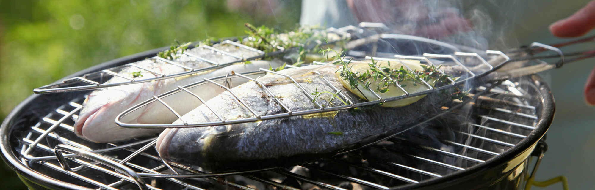 Fisch grillen - Rezepte, Tipps & Ideen | Küchengötter