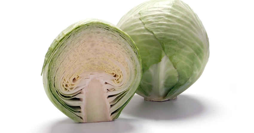 Weißkohl-Rezepte | Küchengötter