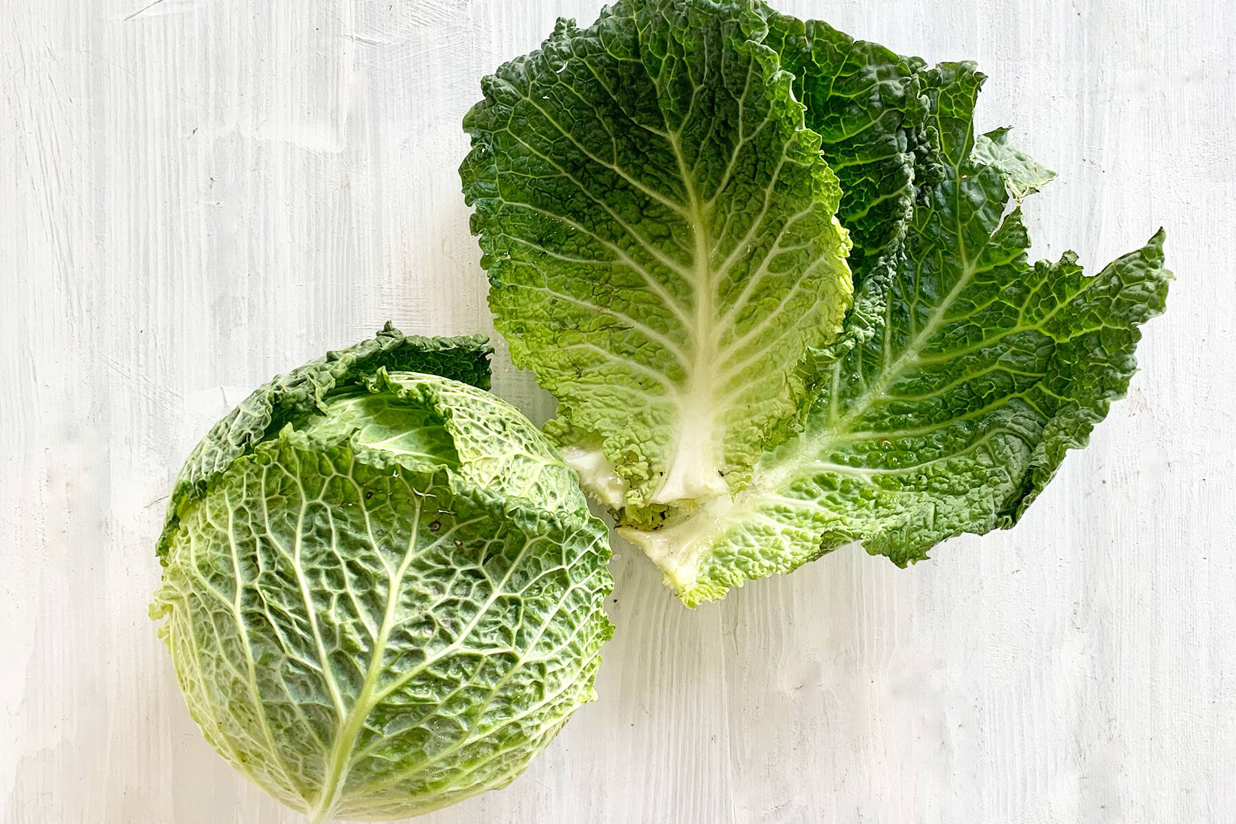 Wirsing | Küchengötter