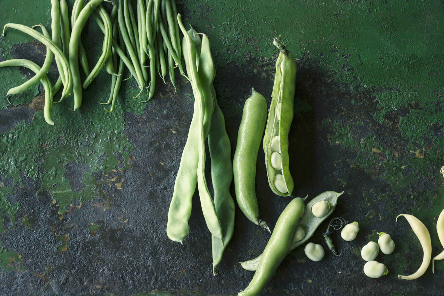 Bohnen | Lebensmittel-Warenkunde | Küchengötter