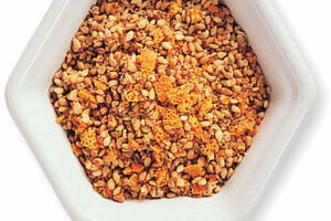 Gomasio klassisch Rezept | Küchengötter