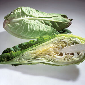 Spitzkohl-Risotto mit Lachs Rezept | Küchengötter