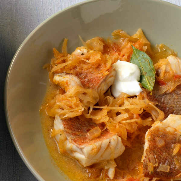 Rotbarsch mit scharfer Mangosauce Rezept | Küchengötter