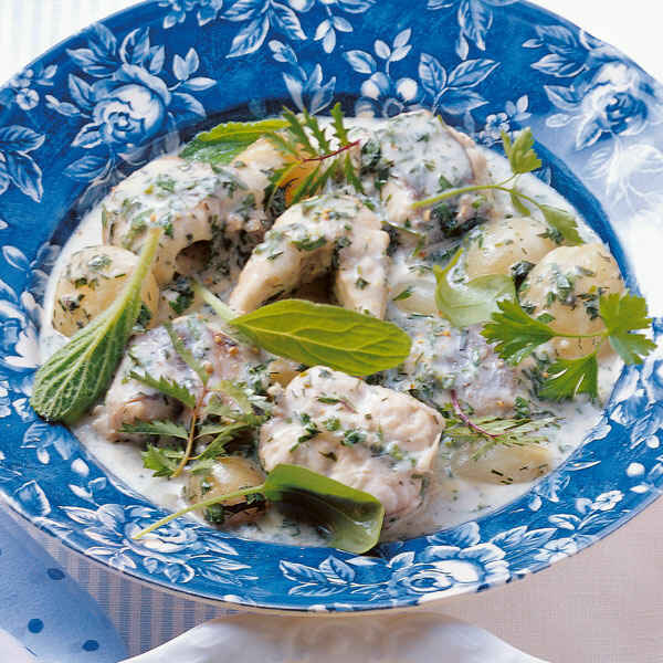 Aal grün Rezept | Küchengötter
