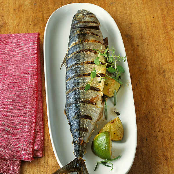 Gegrillte Makrelen mit Kräutern Rezept | Küchengötter