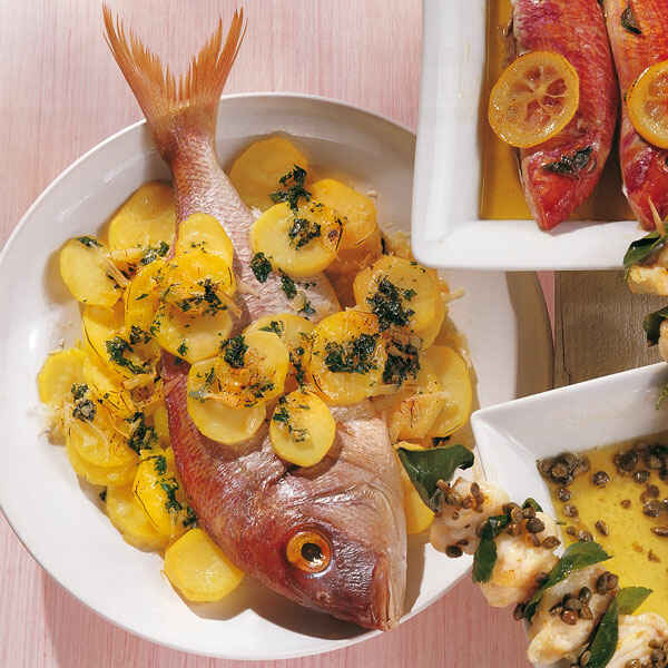 Goldbrasse mit Kartoffeln Rezept | Küchengötter