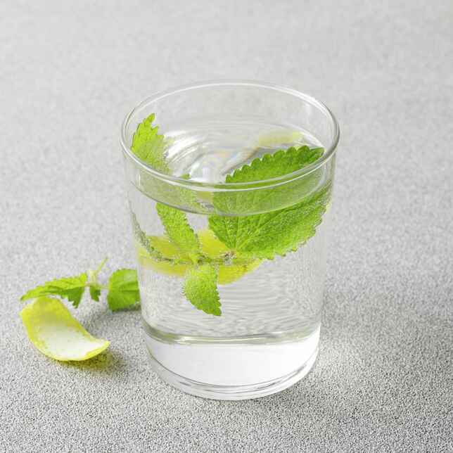 Zitronen- Minze-Wasser Rezept | Küchengötter