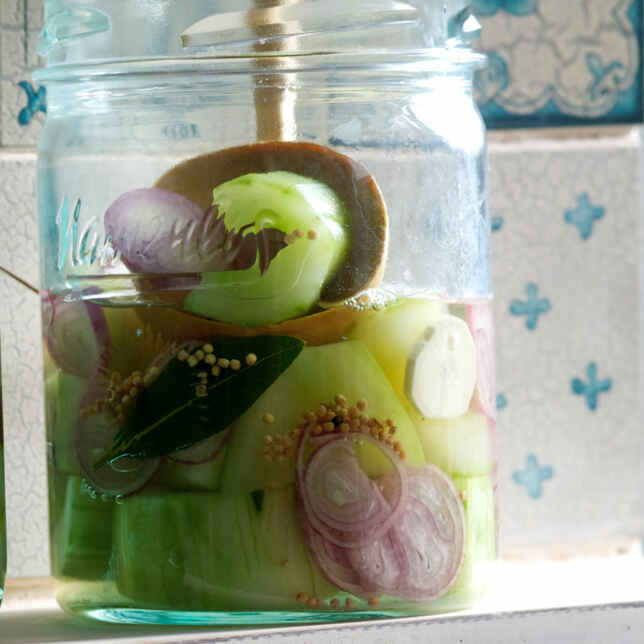 Eingelegte saure Gurken mit Dill Rezept | Küchengötter