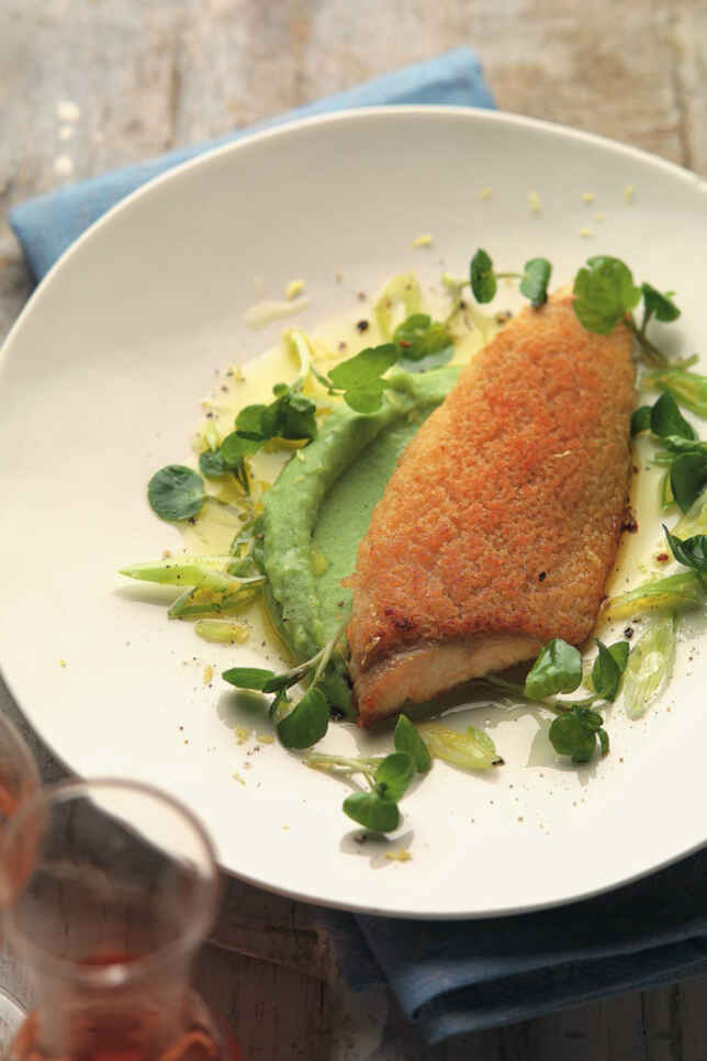 Die besten Rezepte mit Saibling | Küchengötter