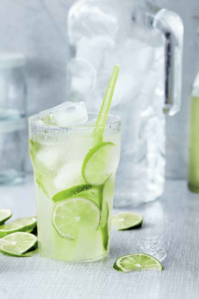 Die besten Limonaden-Rezepte | Küchengötter