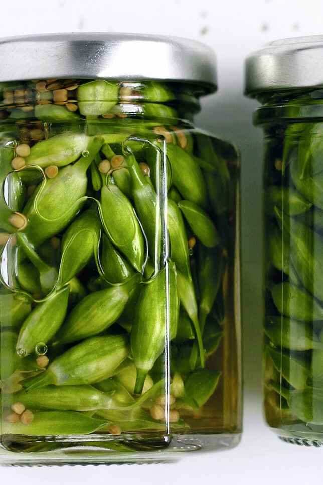 Kapern | Lebensmittel-Warenkunde | Küchengötter