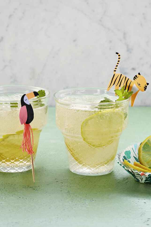 Die besten Limonaden-Rezepte | Küchengötter