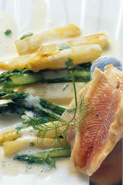 Die besten Rezepte mit Saibling | Küchengötter