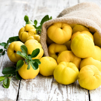 Quitten | Lebensmittel-Warenkunde | Küchengötter