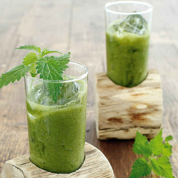 Brennessel Fr Smoothie