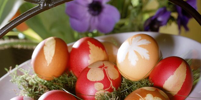 Rezepte, Tipps & Ideen zum Kochen und Backen | Küchengötter