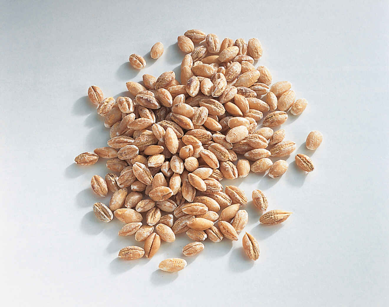 Gerste | Küchengötter