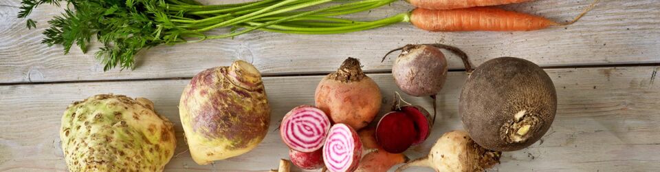 Wintergemüse - Rezepte, Tipps & Ideen | Küchengötter