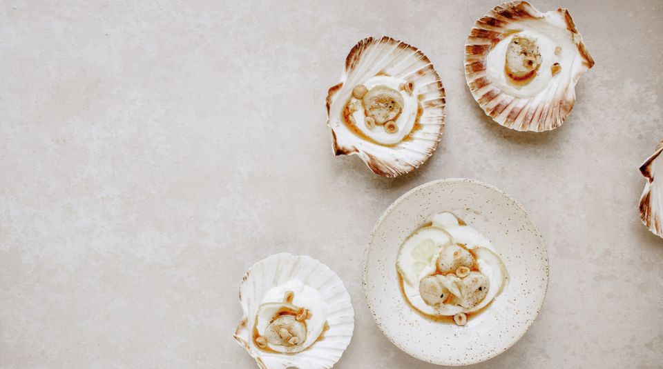 Muscheln - Rezepte mit Miesmuscheln, Jakobsmuscheln & Co. | Küchengötter