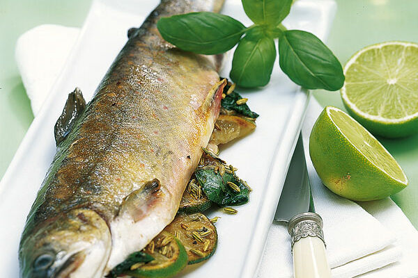 Saibling | Küchengötter